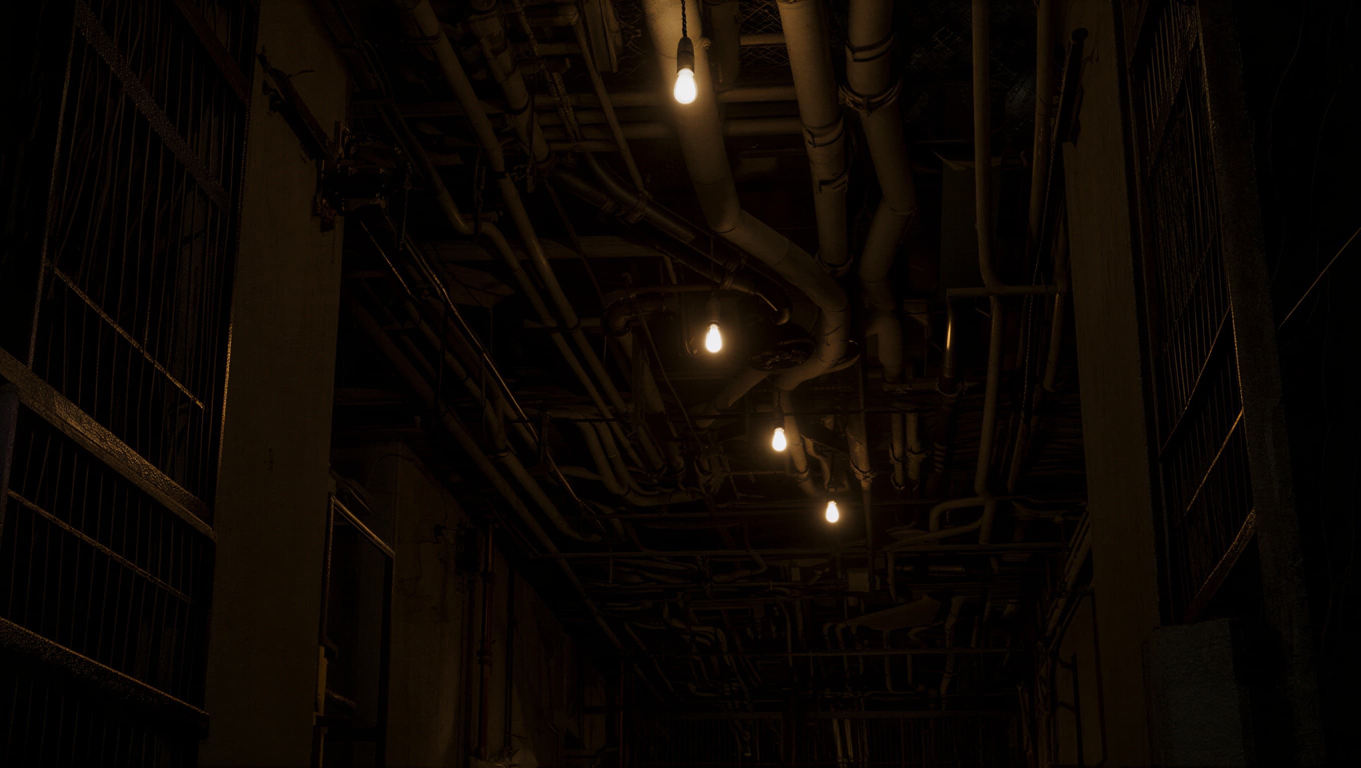 Backrooms Levels, Entities, and Survival Guide