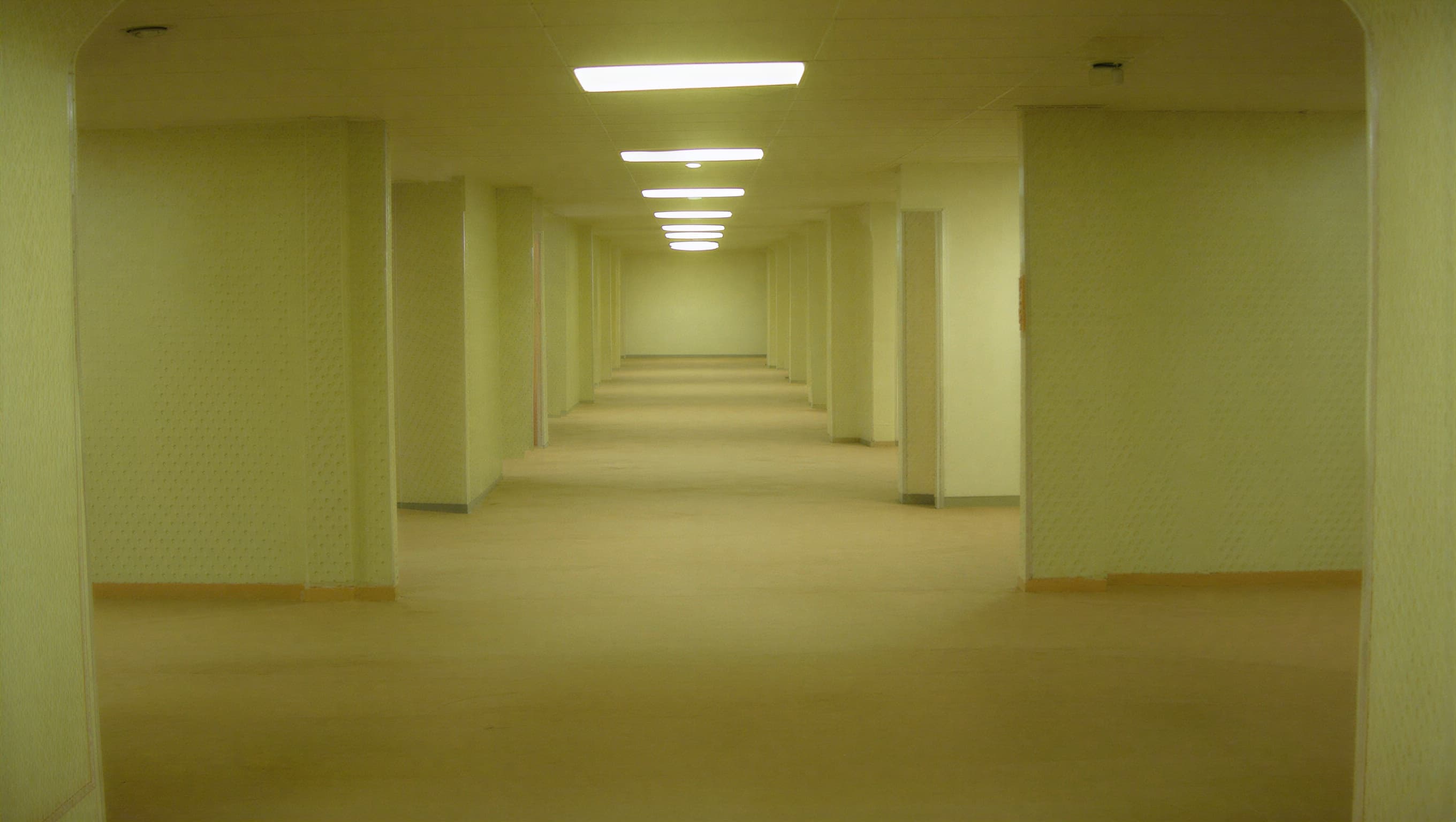Backrooms Levels, Entities, and Survival Guide